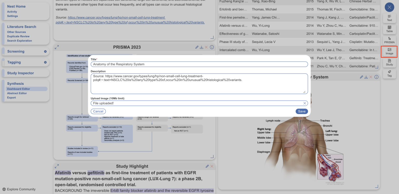 Dashboard Editor – Nested Knowledge