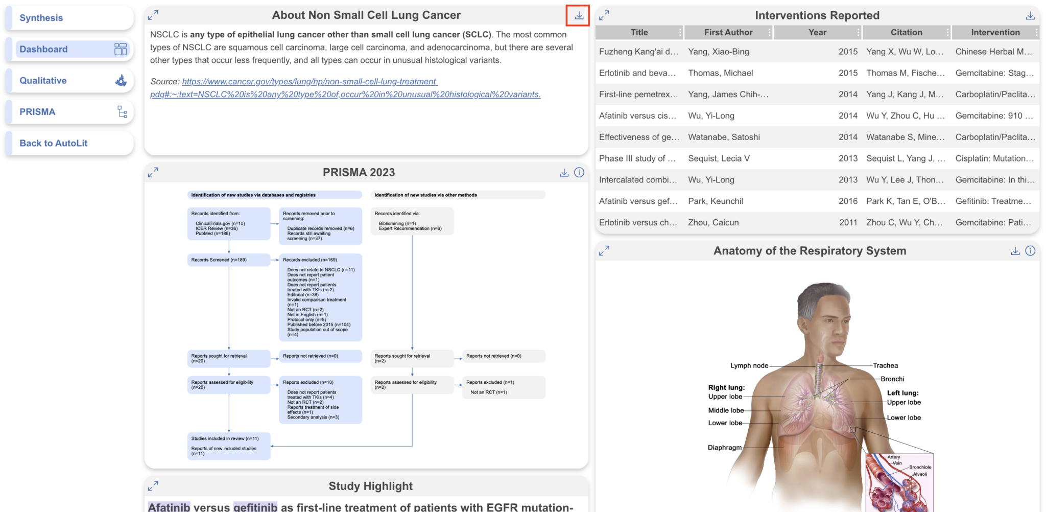 Dashboard in Synthesis – Nested Knowledge