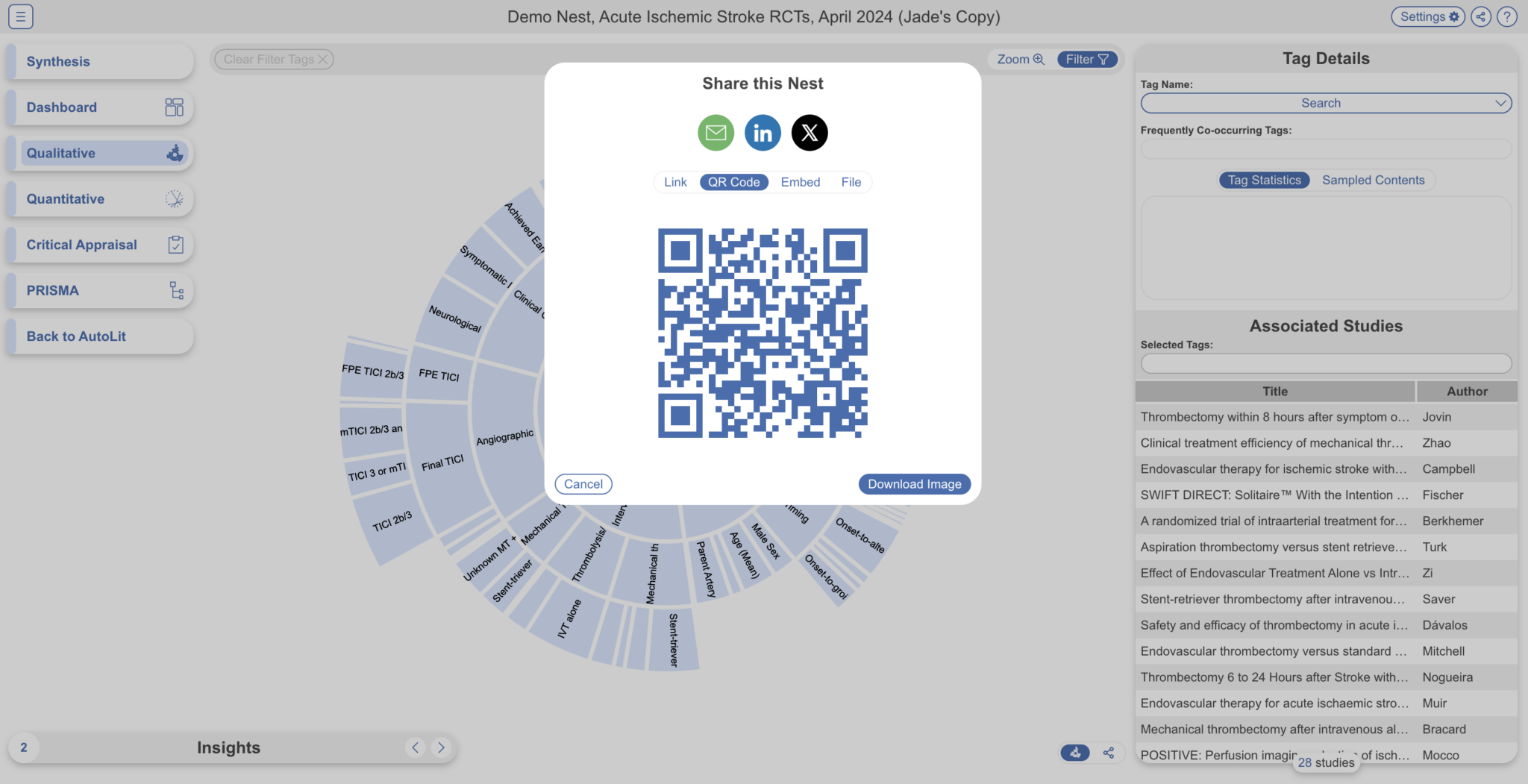 Qualitative Synthesis – Nested Knowledge